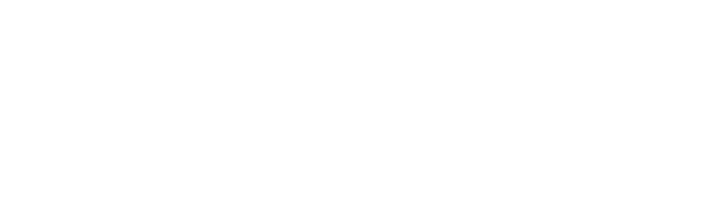 Liberty Connect